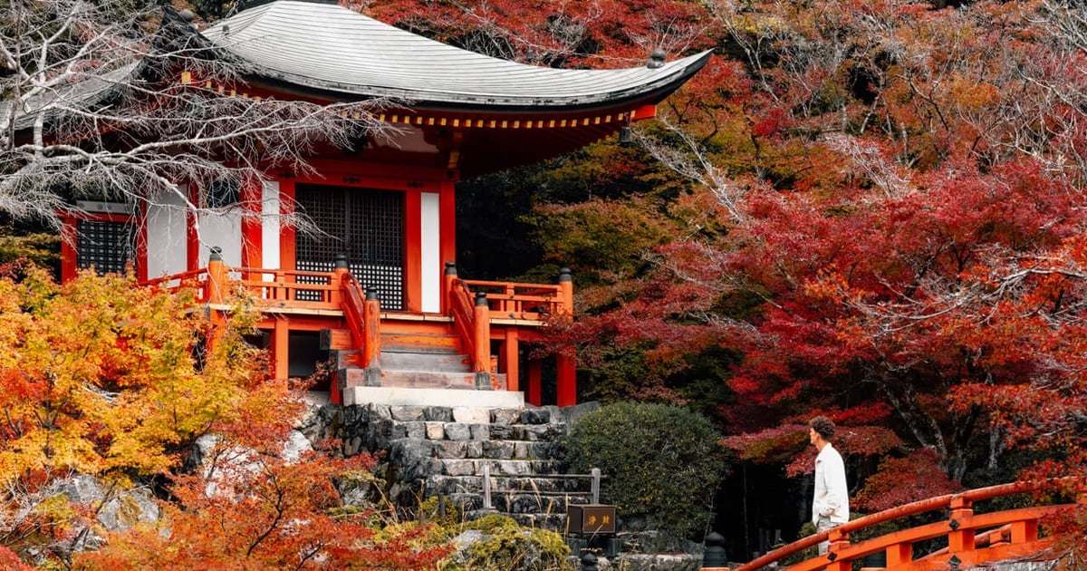 Autumn in Japan: Best Places to See Fall Colours (2026 Guide)