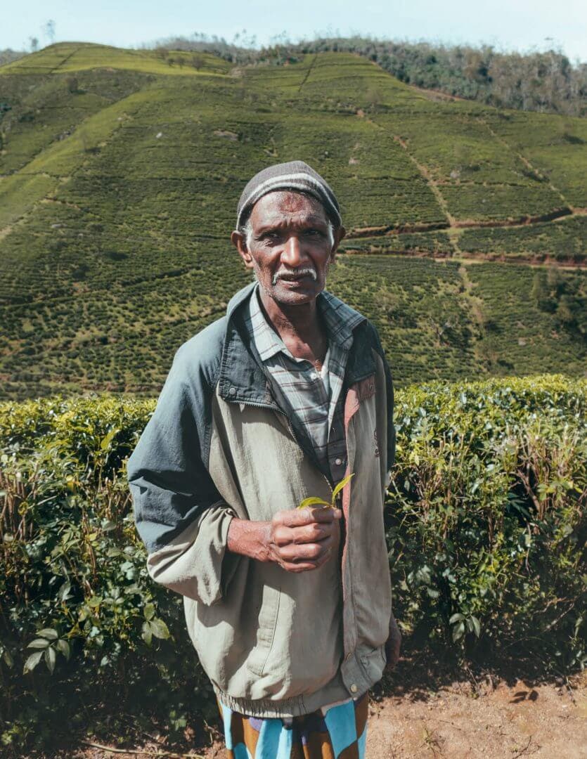 Nuwara Eliya: Best Places to Visit (Tea Plantations)