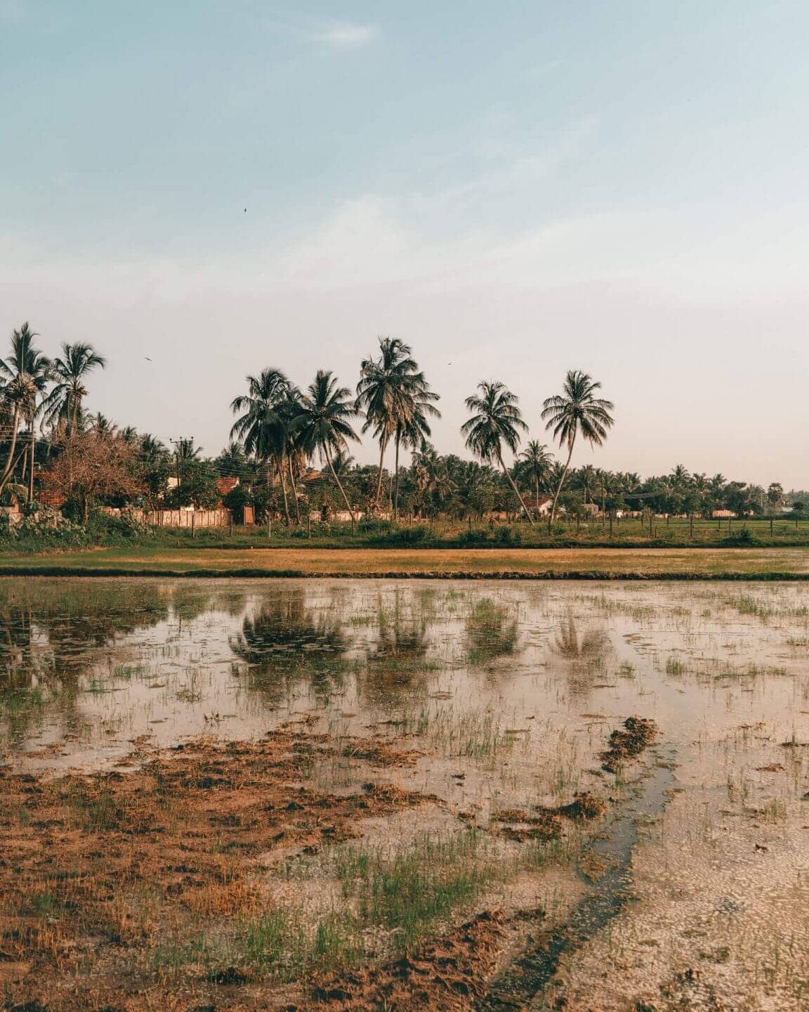 ARUGAM BAY – 7 Awesome Things to do in Arugam Bay (Travel Guide)