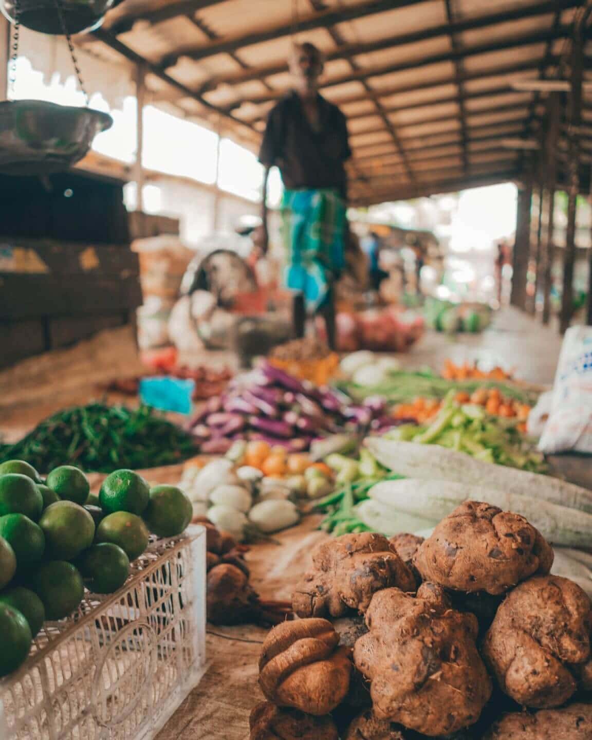 Jaffna, Sri Lanka: 7 Great Things To Do (Our Top Tips!)