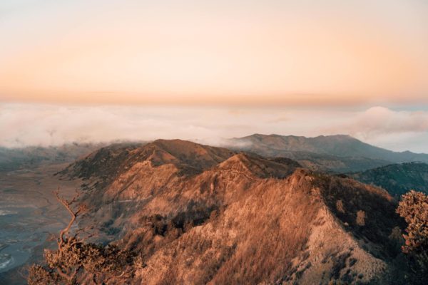 Visit Mount Bromo Volcano: Everything You Need to Know