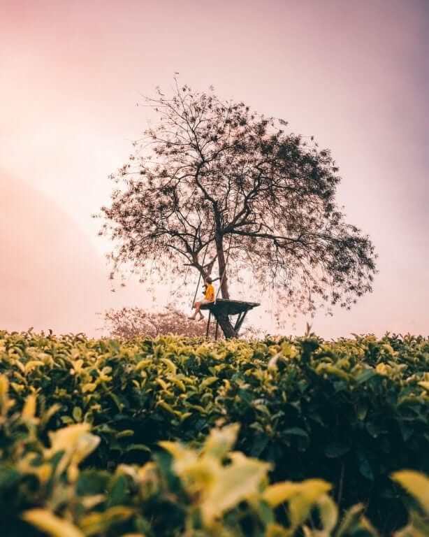 9 Best Things To Do in Malang, Java (Indonesia) · Salt in our Hair