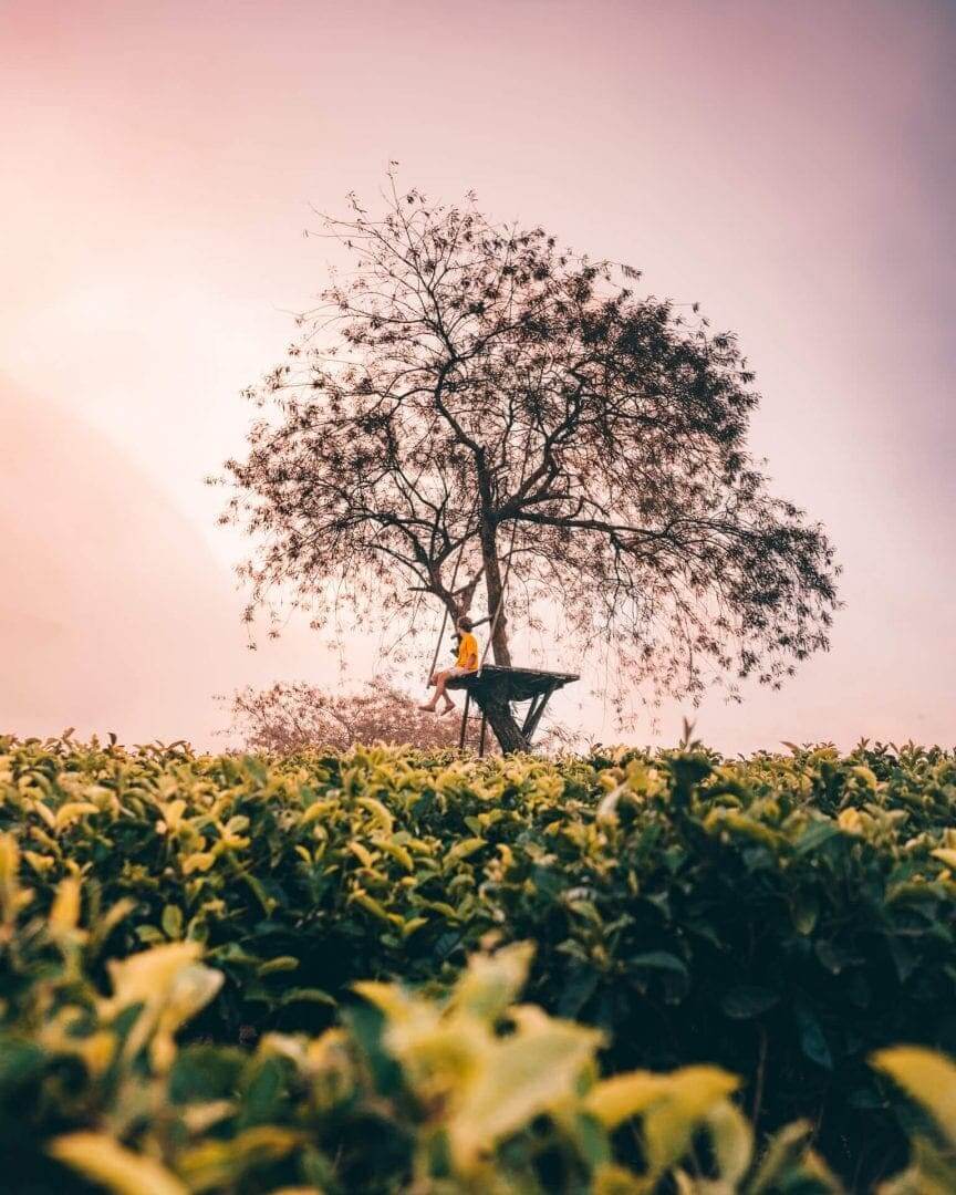 9 Best Things To Do in Malang, Java (Indonesia) · Salt in our Hair