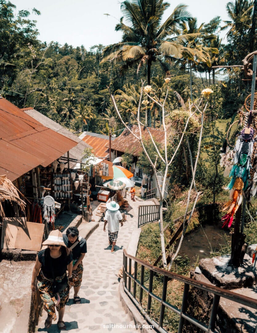 14 Things To Do in Ubud, Bali (3-Day Guide) · Salt in our Hair