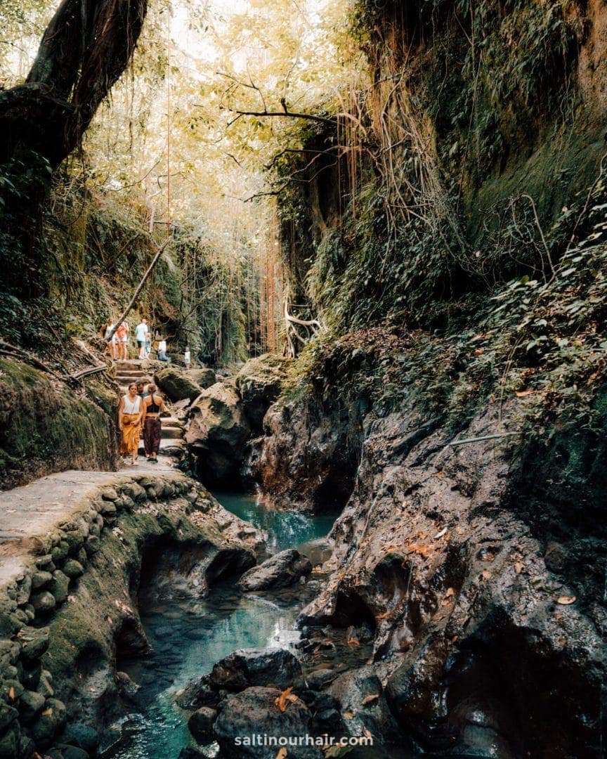 Ubud Monkey Forest: Complete Guide Bali's Sacred Sanctuary