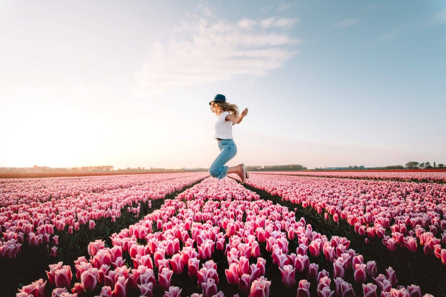 Tulip Fields Netherlands: Best Place to See Tulips without Tourists