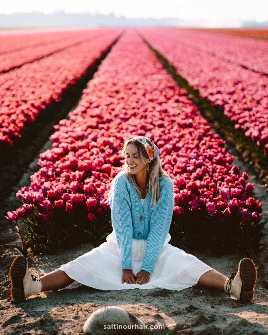 Tulip Fields Netherlands: Best Place to See Tulips without Tourists