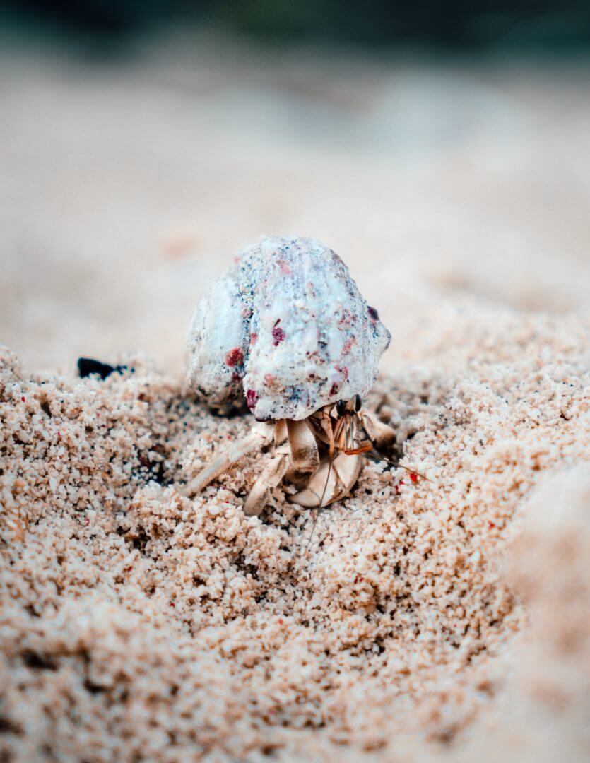 11 Best Things To Do in Siargao + Tourist Spots · Salt in our Hair