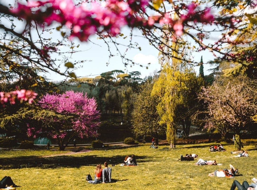 ROME, ITALY - 9 Awesome Things To Do in Rome (3-Day City Guide)