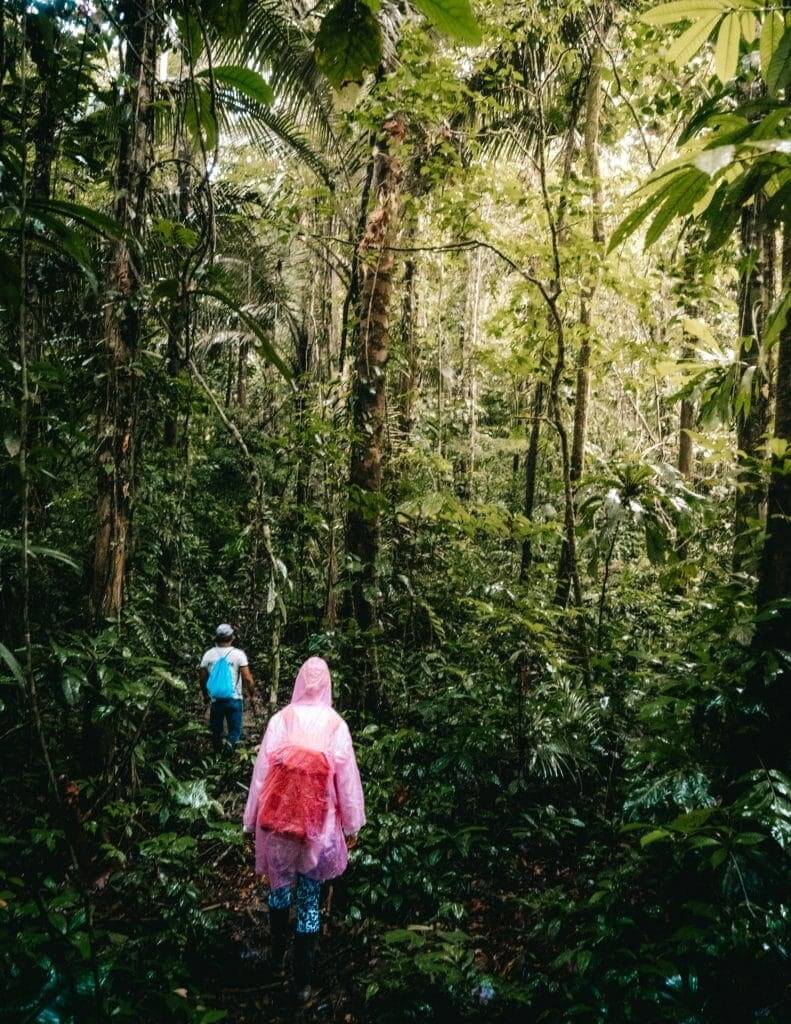 Amazone, Peru: De Ultieme Gids tot de Jungle · Salt in our Hair