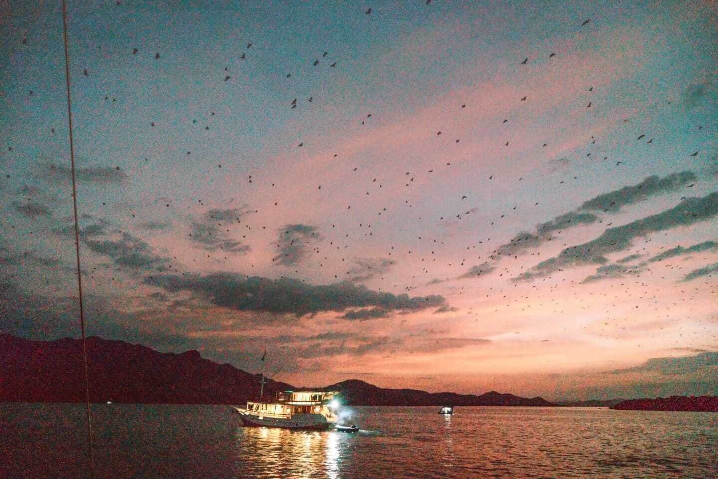 KOMODO ISLANDS – Ultimate Guide to a Komodo Islands Boat Tour