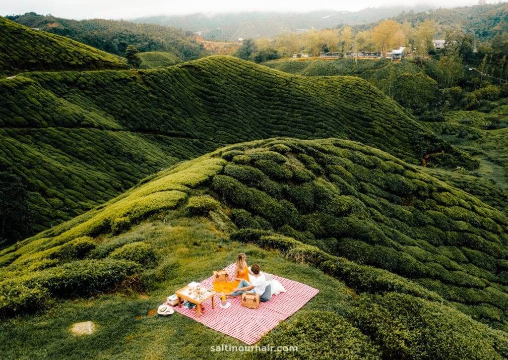 Cameron Highlands: Best Attractions & Things To Do (Malaysia)