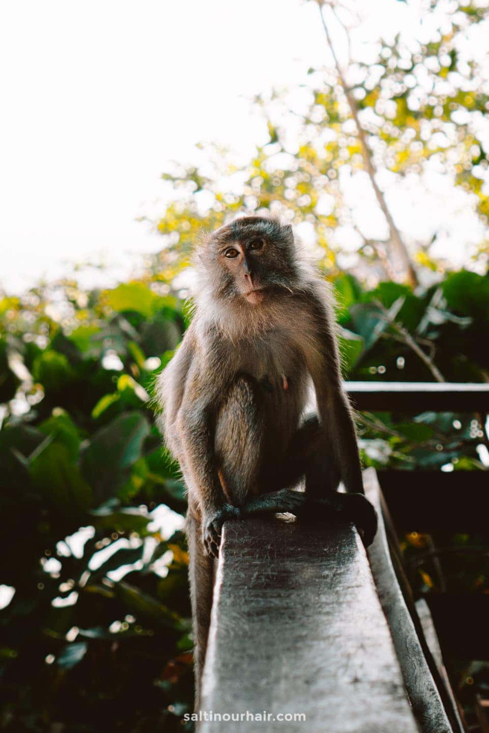 11 Best Things To Do in Penang, Malaysia (Georgetown Guide)