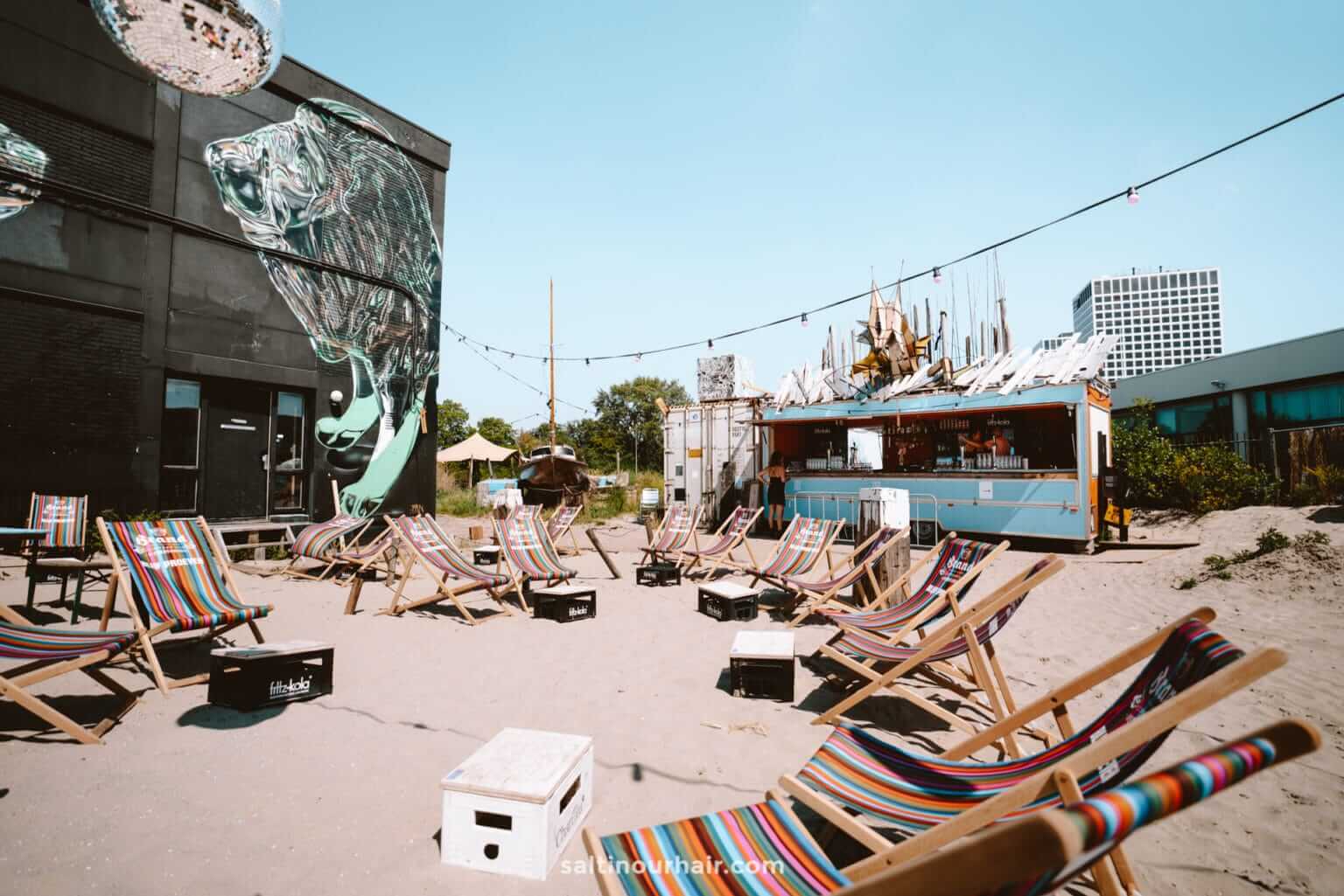 13 Top Things To Do in Rotterdam (Insider's Tips) - City Trip Guide