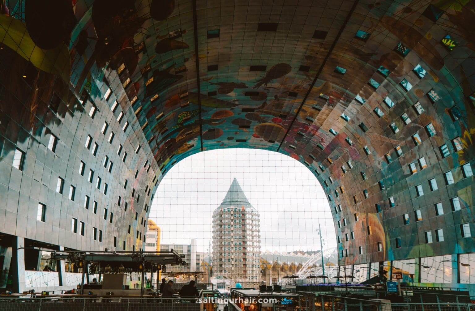 Wat te doen in Rotterdam: 13 Leukste Tips voor een dagje uit