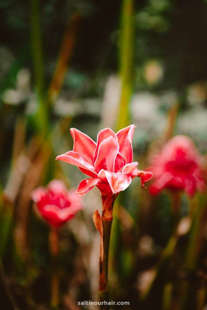 Travel From Home: 14 Ways to Satisfy Your Travel Cravings