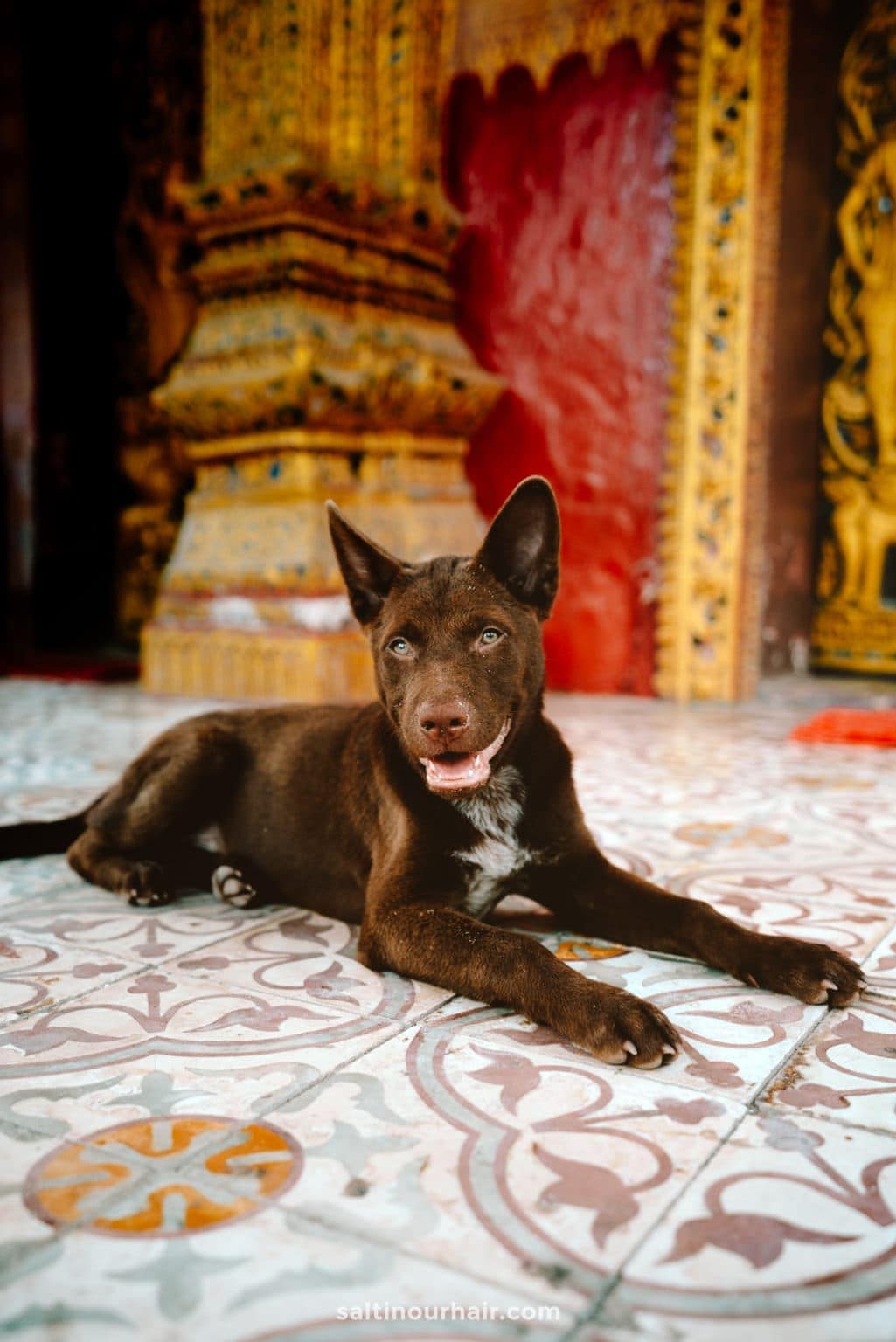 Laos Travel Guide: Complete 10-Day Itinerary (Update 2026)