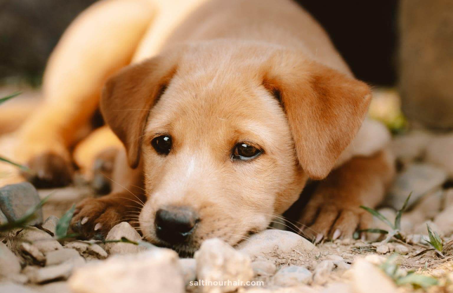 9 Best Things To Do in Vang Vieng (2025 Travel Guide)