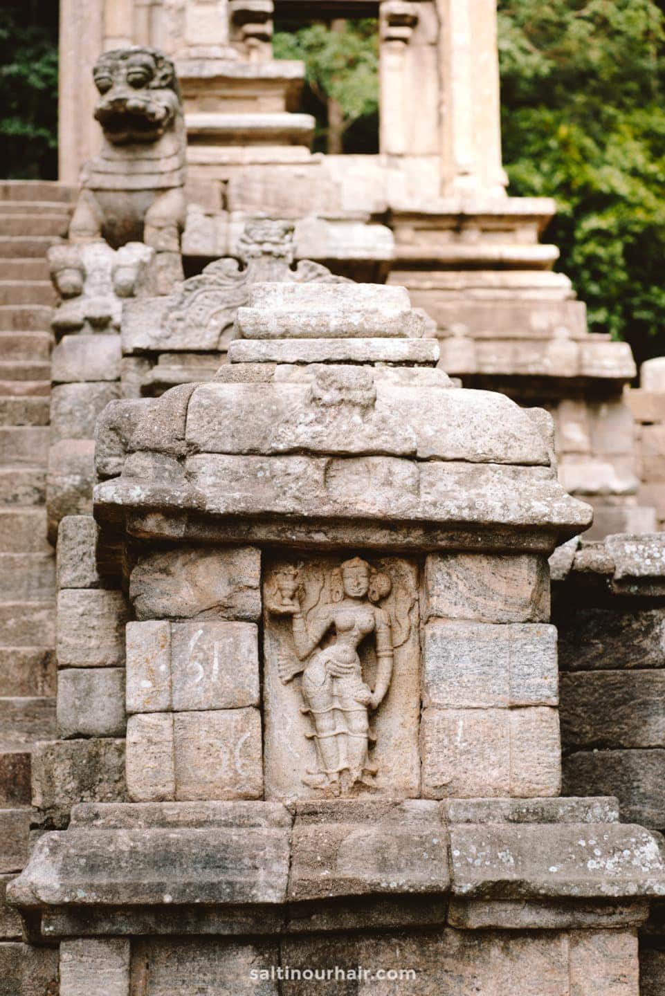 Yapahuwa Rock Fortress: Hidden Gem Sri Lanka · Salt in our Hair