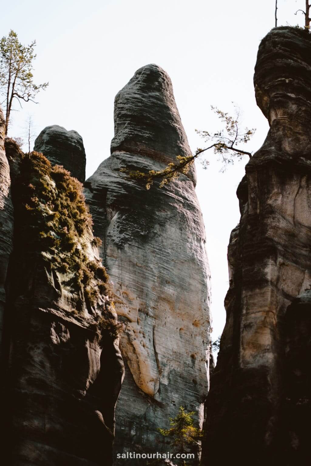 Adrspach-Teplice Rocks - National Park Czech Republic