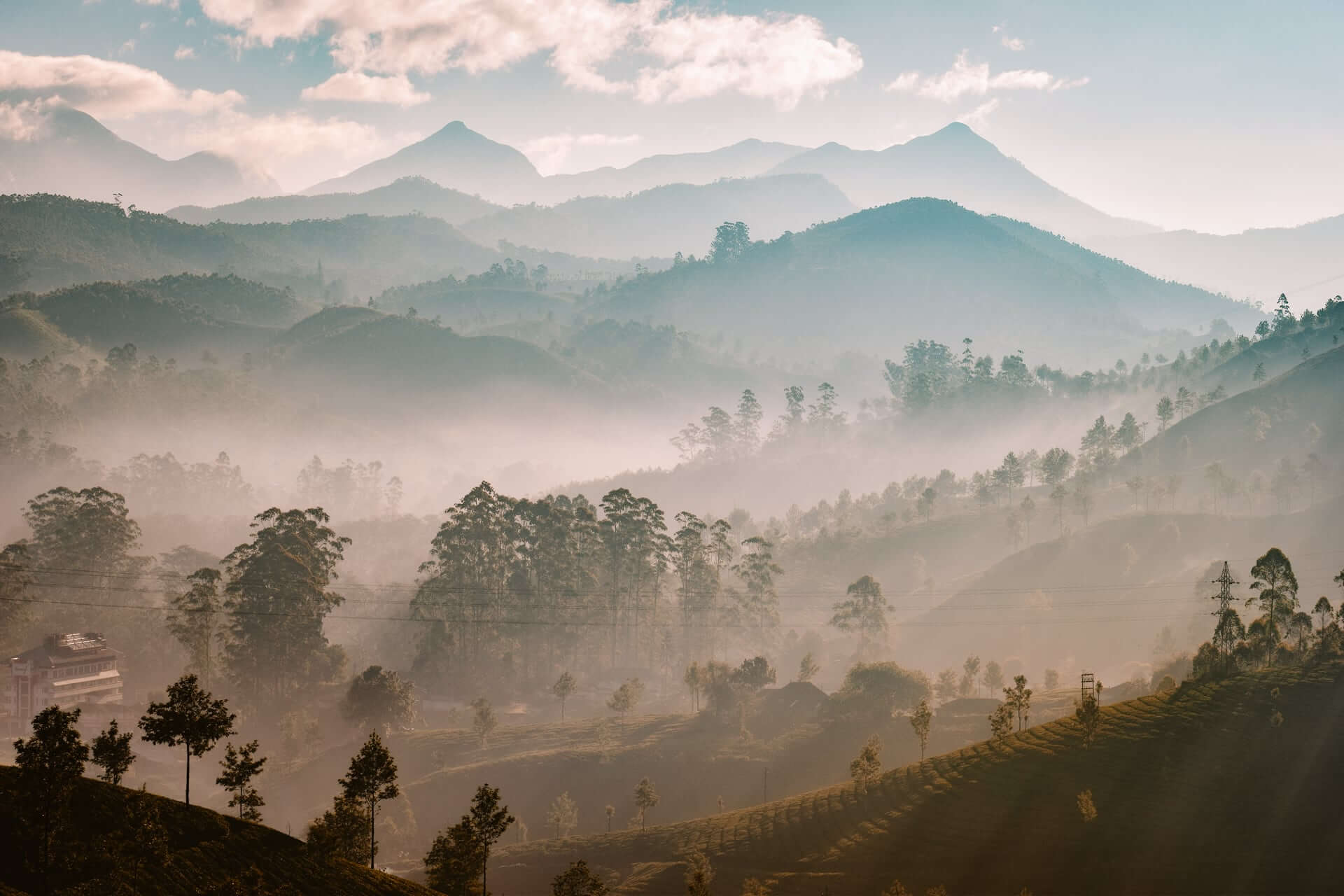 Kerala, India: Top Reasons to Visit 'God's Own Country'