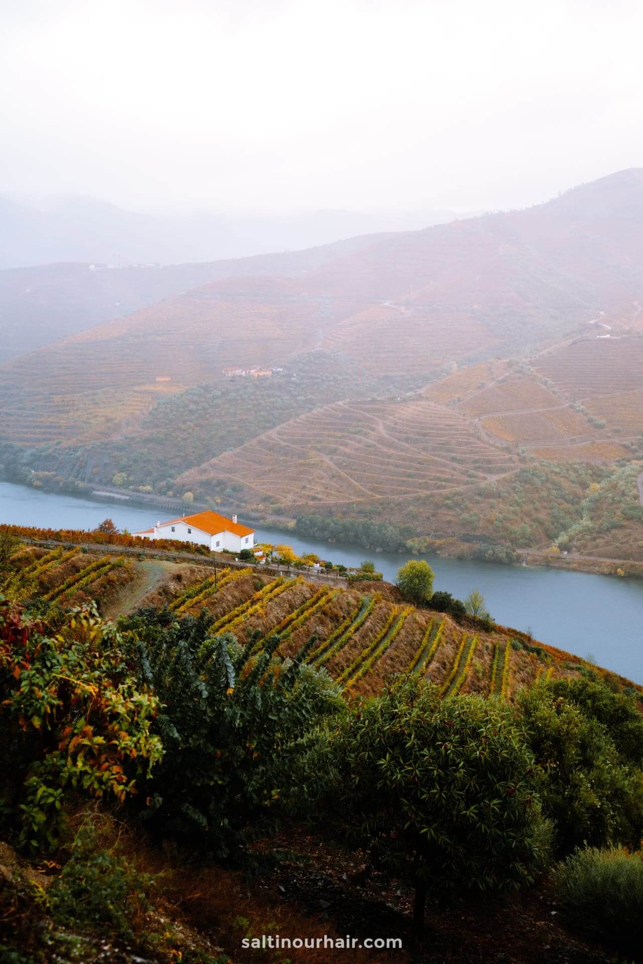 Duoro Valley in Portugal, The Wine Region (2024 Guide) · Salt in our Hair