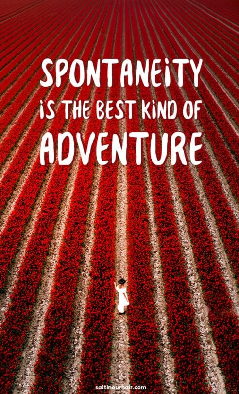 45 Best Adventure Quotes to Fuel Your Wanderlust (Updated 2026)