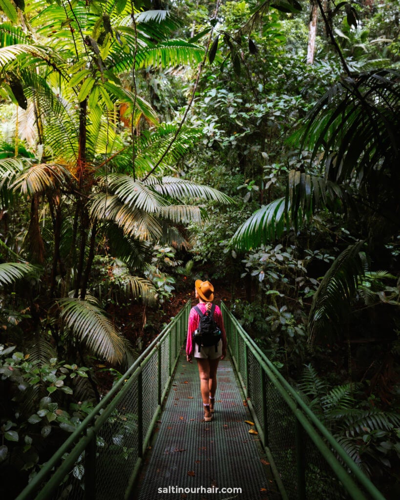 9 Best Things To Do in Monteverde, Costa Rica (Complete Guide)