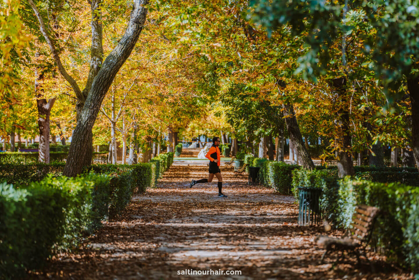 Best Things to do in Madrid, Spain (11 Top Attractions)