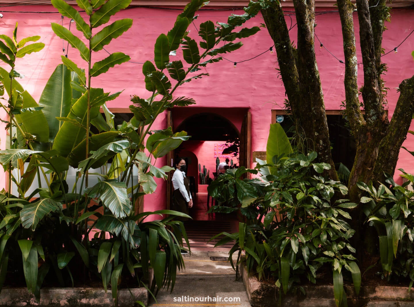 13 Best Things To Do in Medellin, Colombia · Salt in our Hair