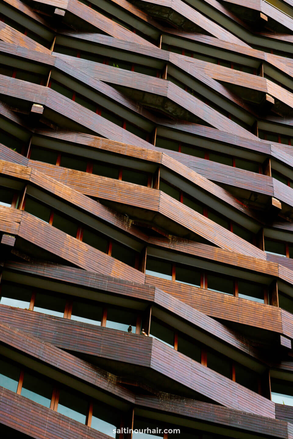 13 Best Things To Do in Medellin, Colombia · Salt in our Hair