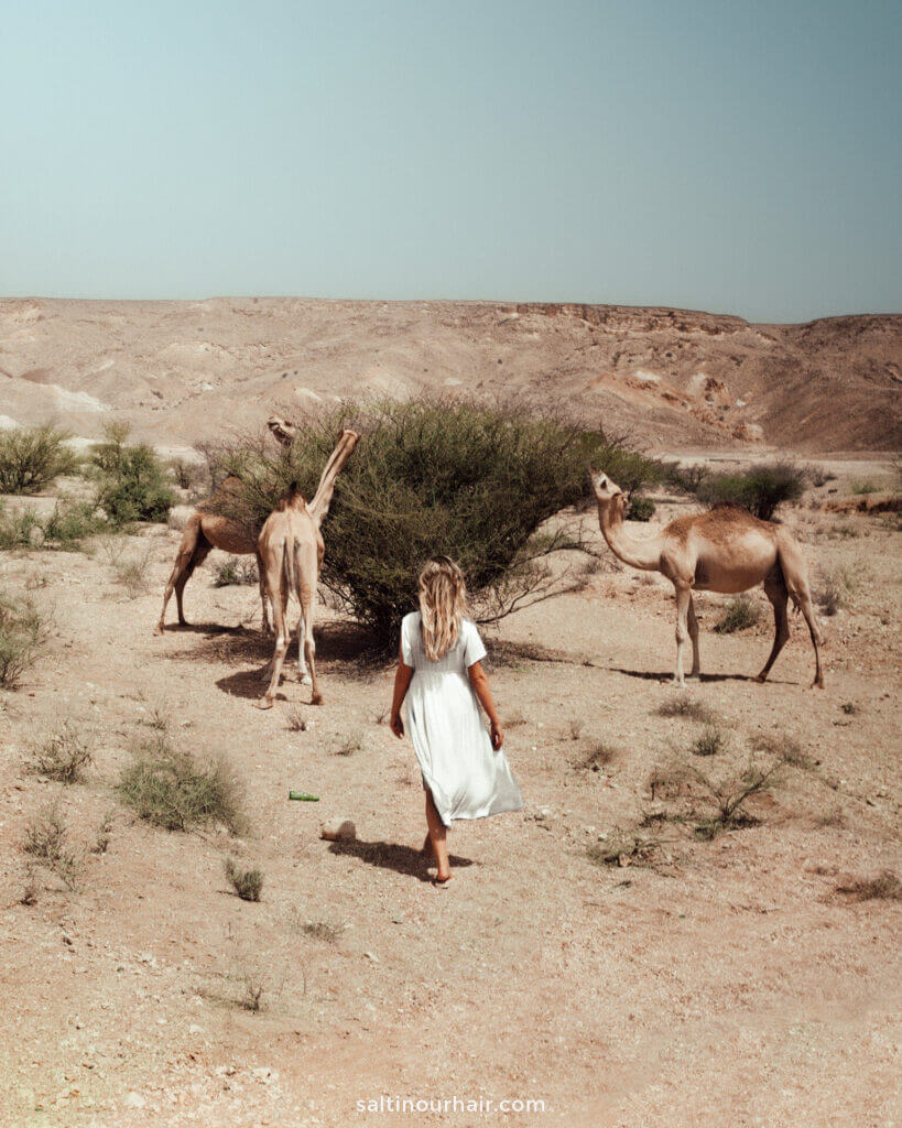 Renting a Car in Oman in 2025: all you need to know