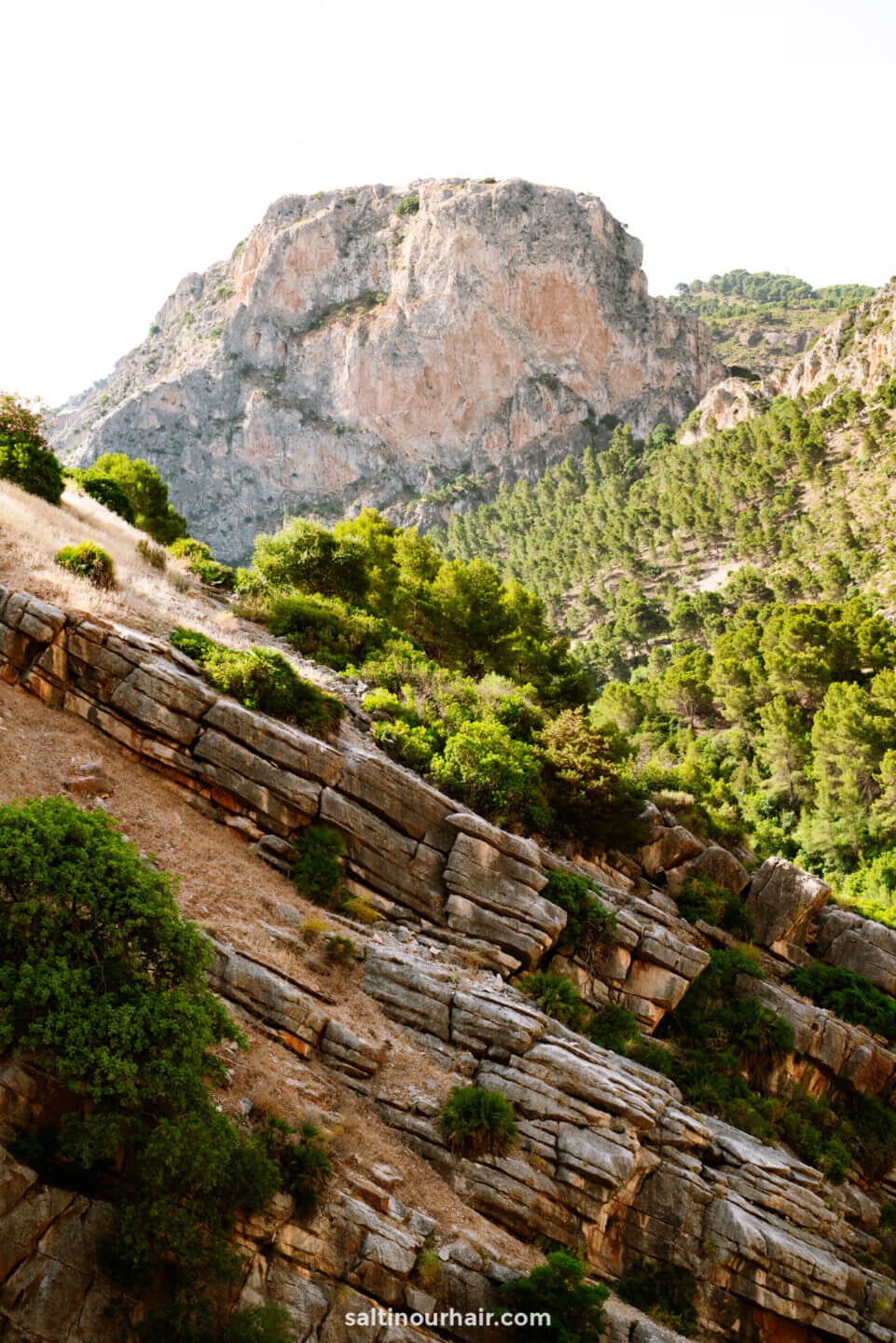 Caminito Del Rey: Spain's Most Thrilling Hike · Salt in our Hair