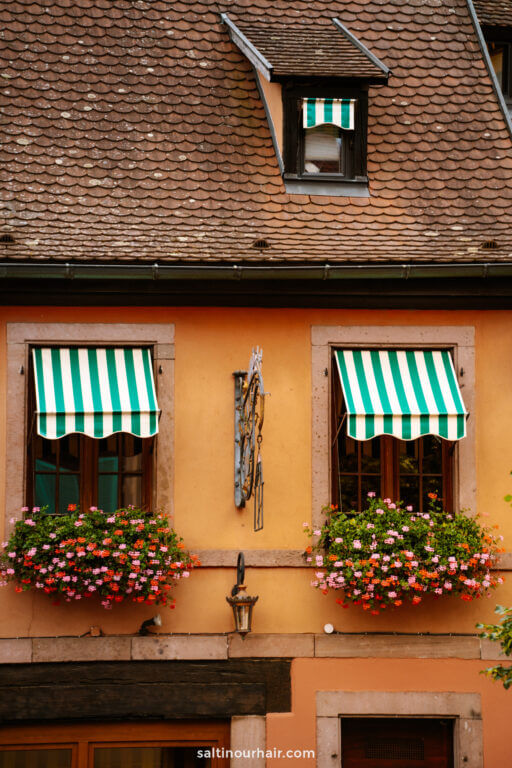 10 Best Things to do in Colmar (Medieval Village of France)