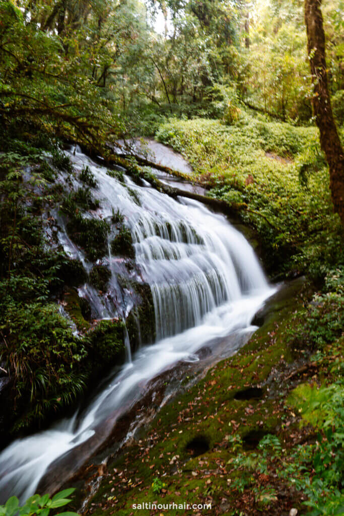 Doi Inthanon National Park: Best Things To Do in 2025 (Thailand)