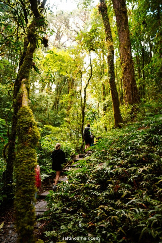 Doi Inthanon National Park: Best Things To Do in 2026 (Thailand)