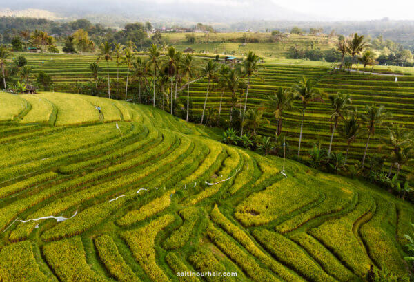 Sidemen, Bali: 12 Best Things to do in 2026 · Salt in our Hair