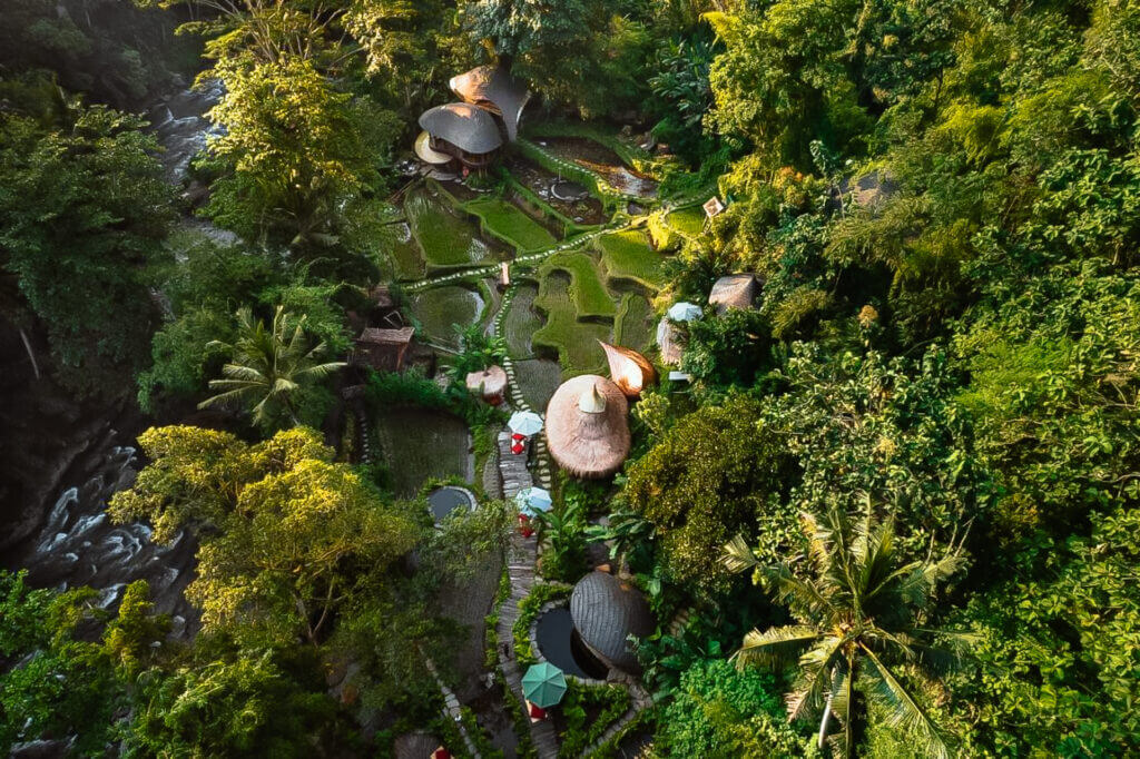 8 Best Bamboo Houses in Bali: The Perfect Eco Getaway!