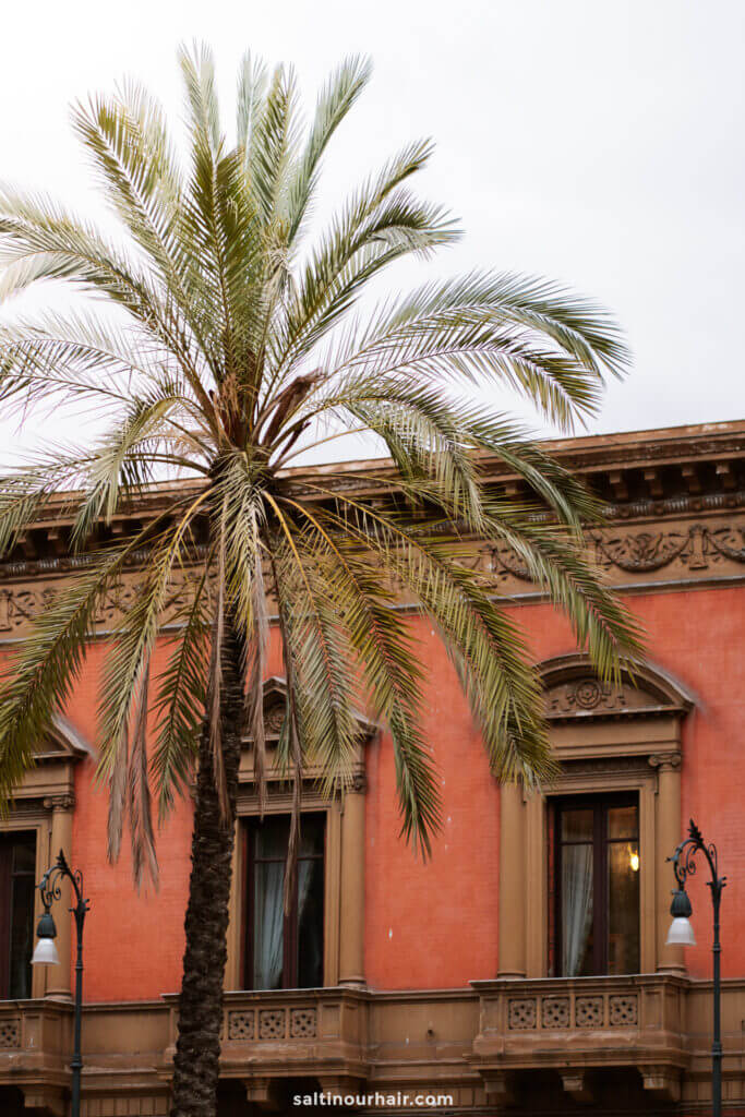 15 x Wat te doen in Palermo, Sicilië (Top Bezienswaardigheden)