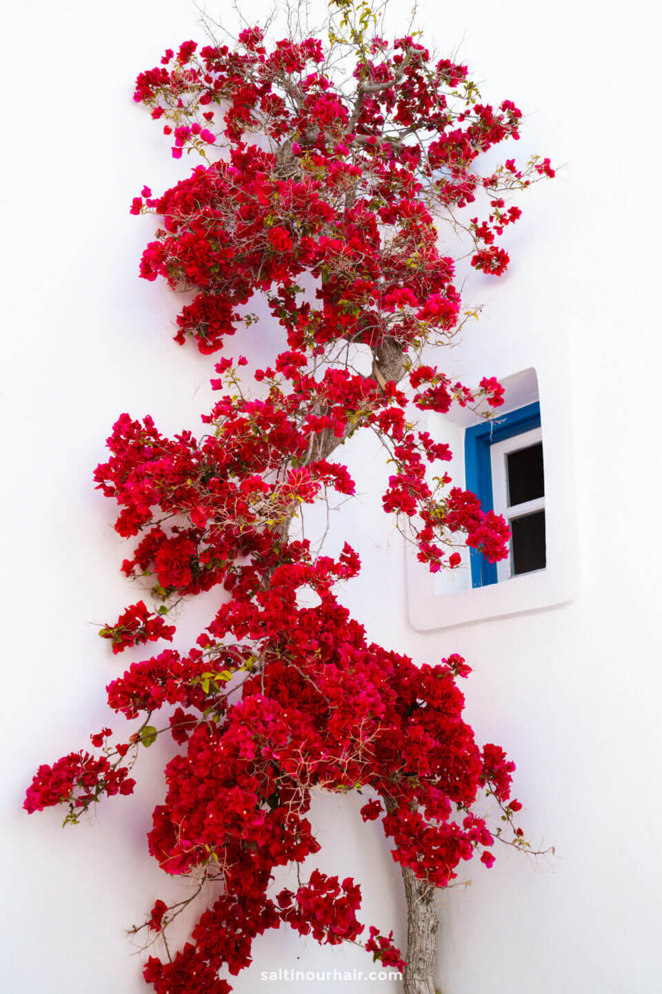 Paros, Griekenland: 9 Leukste Dingen om te Doen (in 2026)