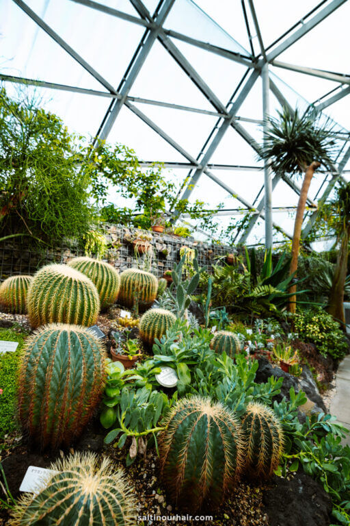 17 Best Things to do in Tokyo, Japan (2026 Travel Itinerary)