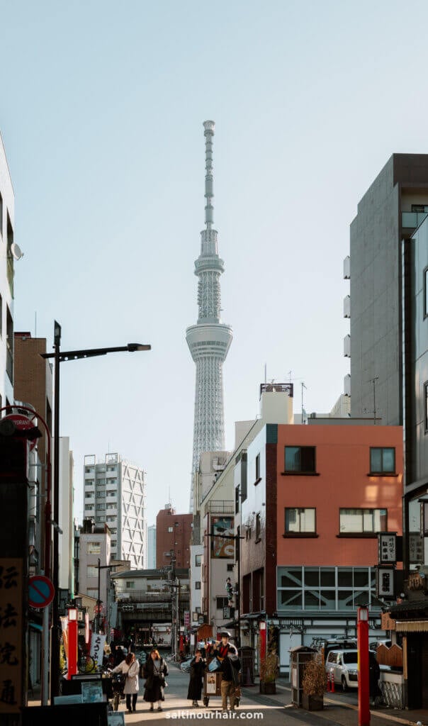 17 Best Things to do in Tokyo, Japan (2025 Travel Itinerary)