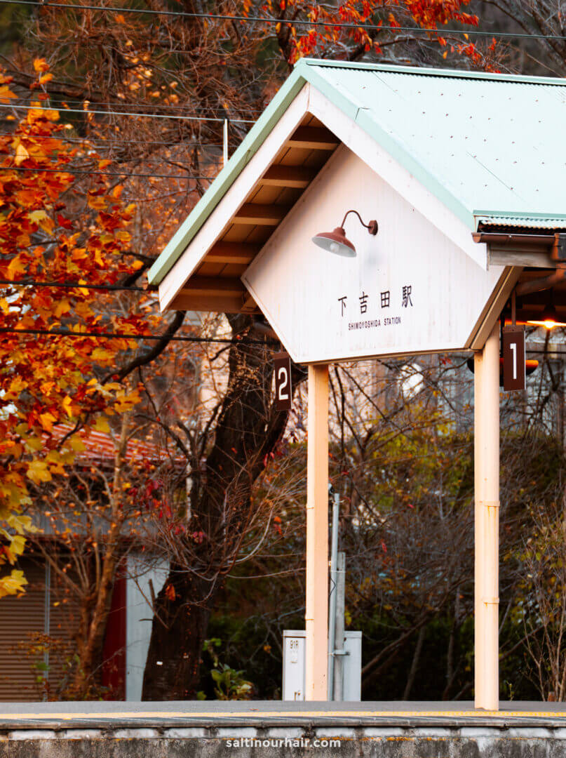 12 Best Things To Do at Mount Fuji (2025 Travel Guide)