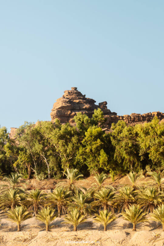 6 Best Things To Do in the Dead Sea, Jordan (2026 Travel Guide)