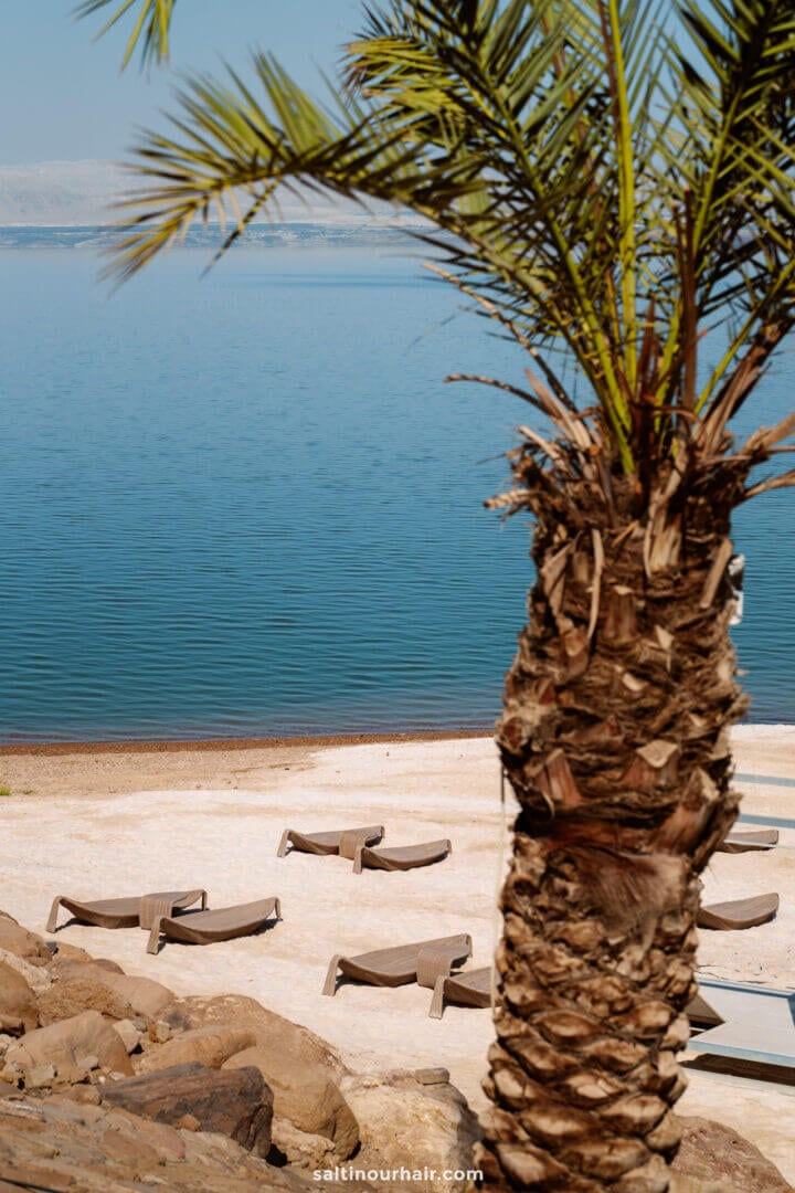 6 Best Things To Do in the Dead Sea, Jordan (2026 Travel Guide)