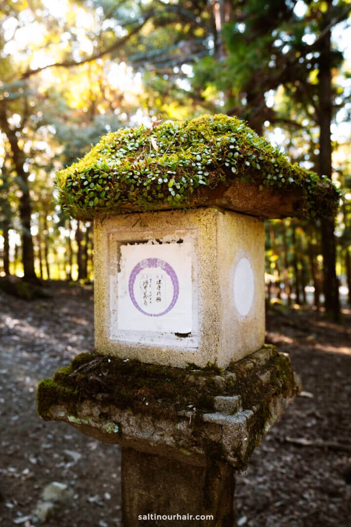 9 Things to do in Nara Park (The Famous Deer of Japan)