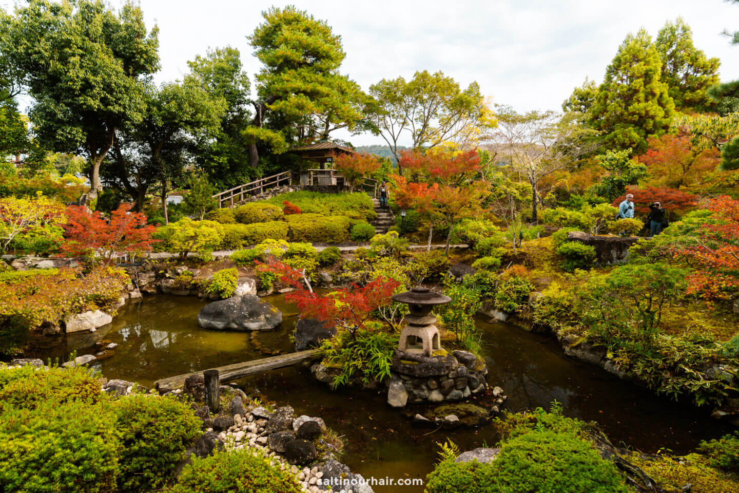 9 Things to do in Nara Park (The Famous Deer of Japan)