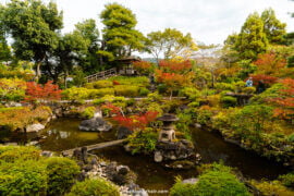 9 Things to do in Nara Park (The Famous Deer of Japan)