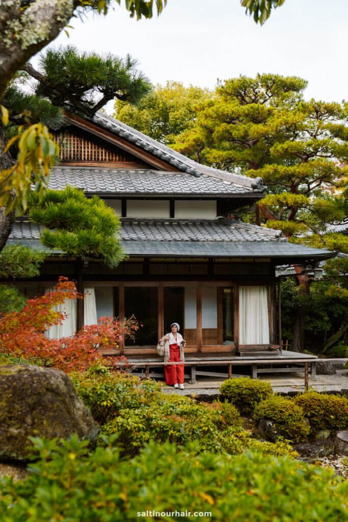 9 Things to do in Nara Park (The Famous Deer of Japan)