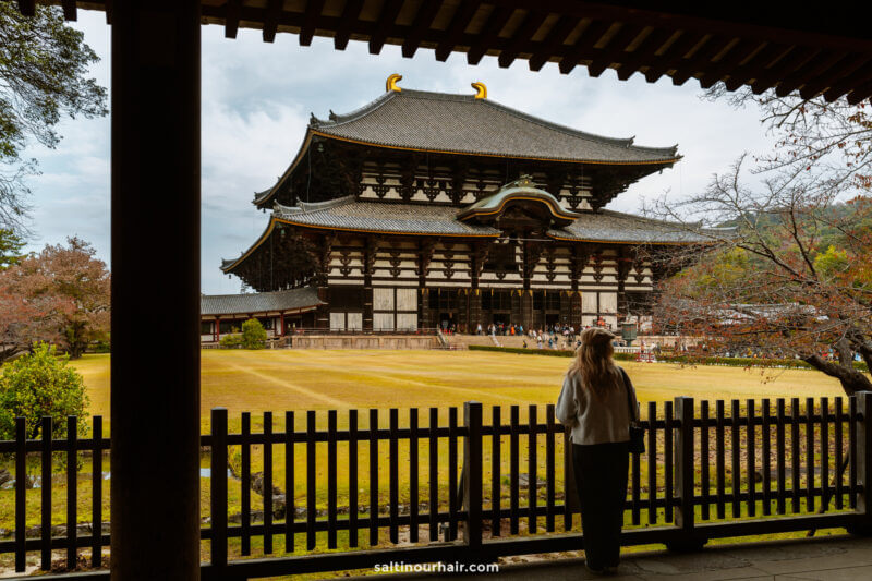 9 Things to do in Nara Park (The Famous Deer of Japan)